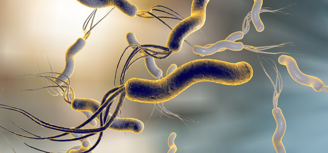 Helicobacter pylori: sconfiggerlo è possibile?
